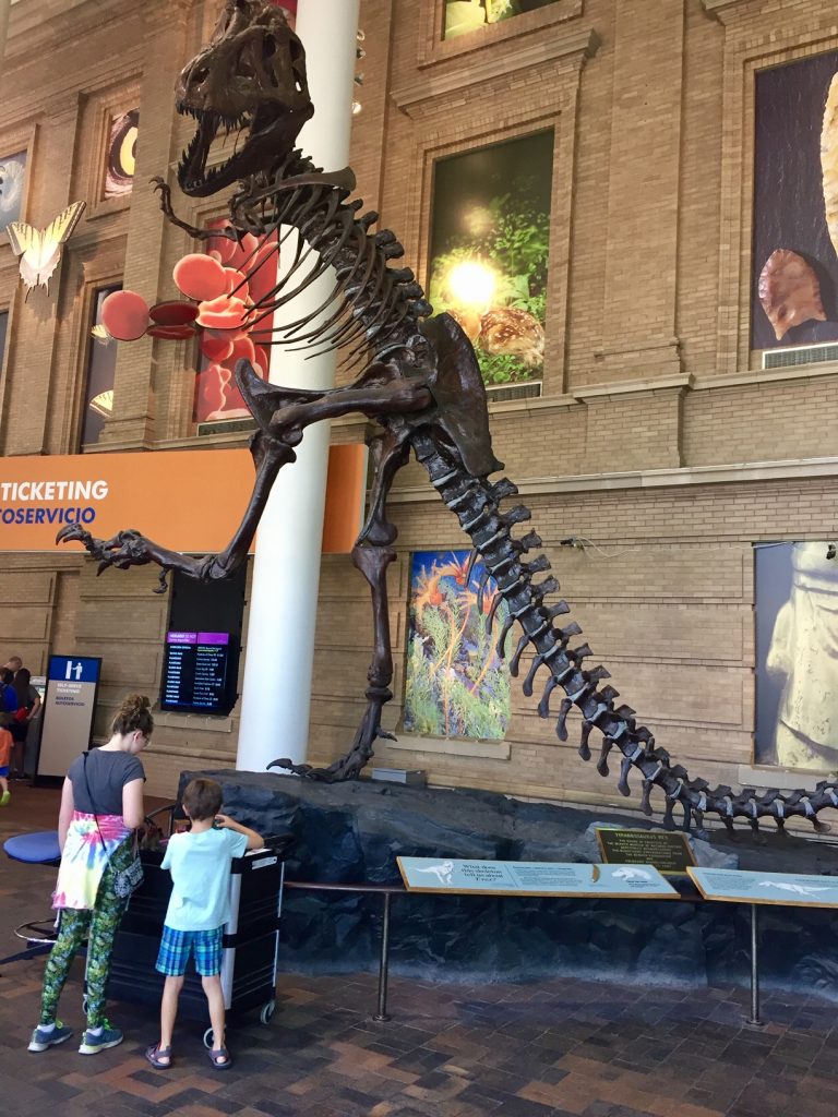 Denver Museum of Nature and Science lobby dinosaur - Colorado Mountain Mom