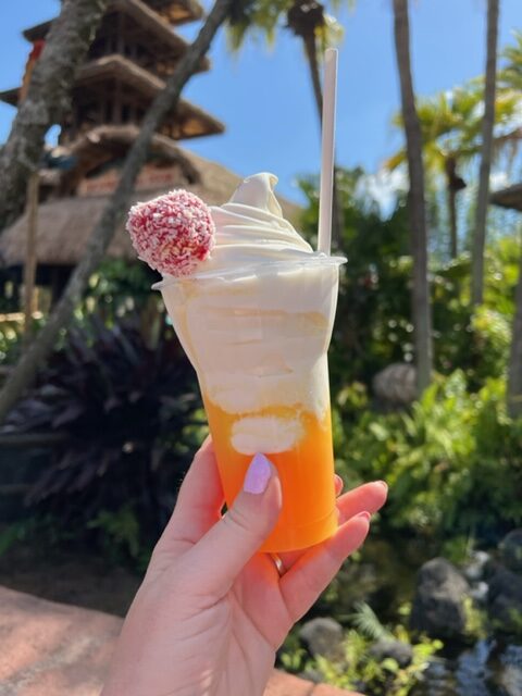 Disney World snacks Aloha Isle float - Colorado Mountain Mom