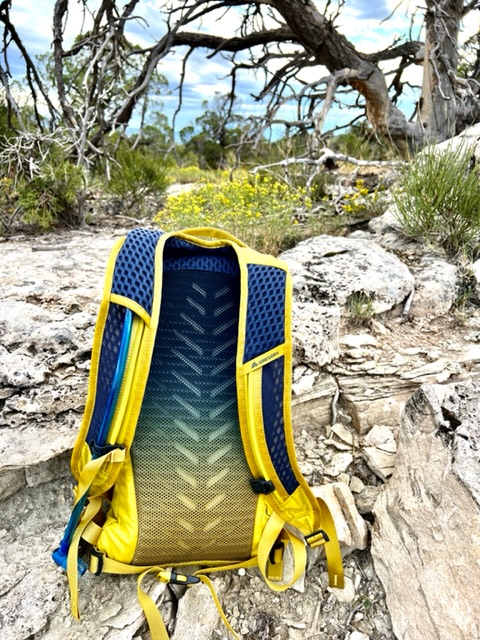 Gregory Pack Pace H20 back panel - Colorado Mountain Mom